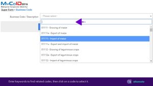How To Incorporate Using SSM MyCoID - Direct Incorporation Application ...