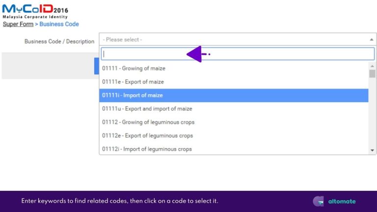 How To Incorporate Using SSM MyCoID - Direct Incorporation Application ...