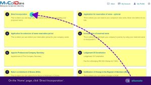 How To Incorporate Using SSM MyCoID - Direct Incorporation Application ...